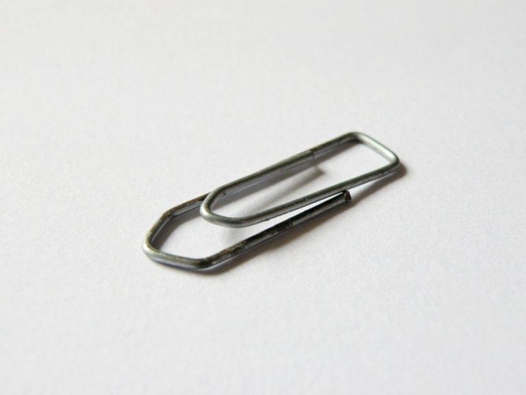 10 Things That Are 1 Inch Long (With Real Examples)